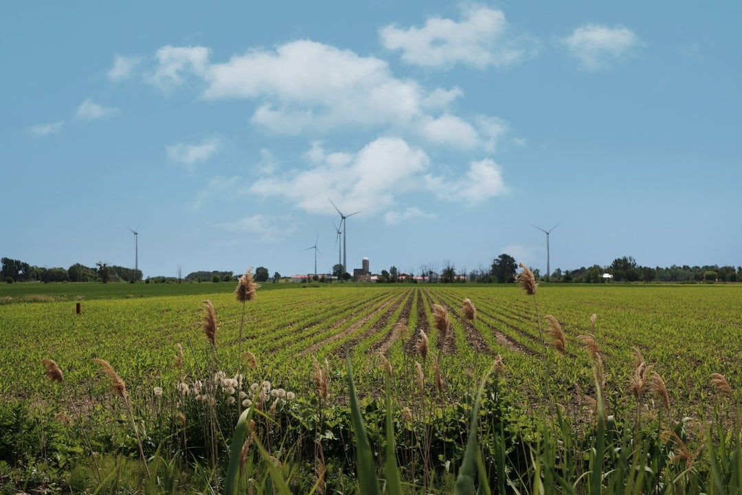 À propos de Mercier
